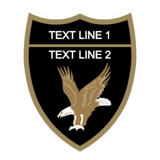 Eagle Landing Shield Security Patch– Build Your Patch- Custom Patches ...